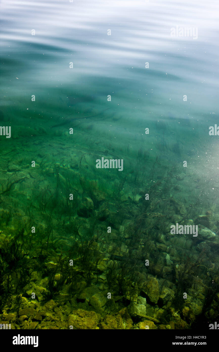 Green lake bottom hi-res stock photography and images - Alamy