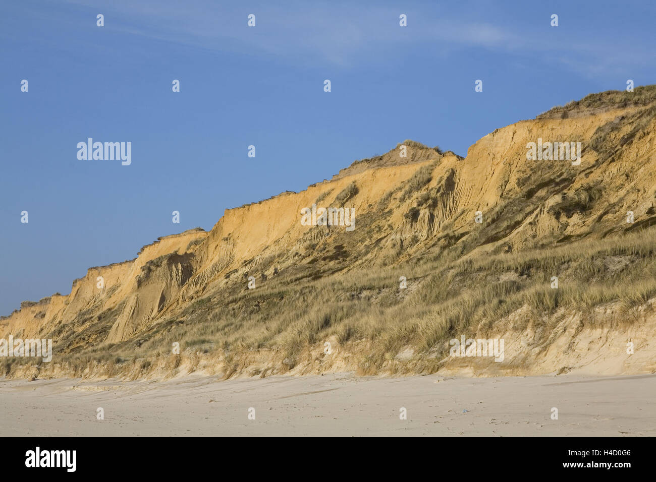 Red cliff near Kampen on Sylt Stock Photo - Alamy