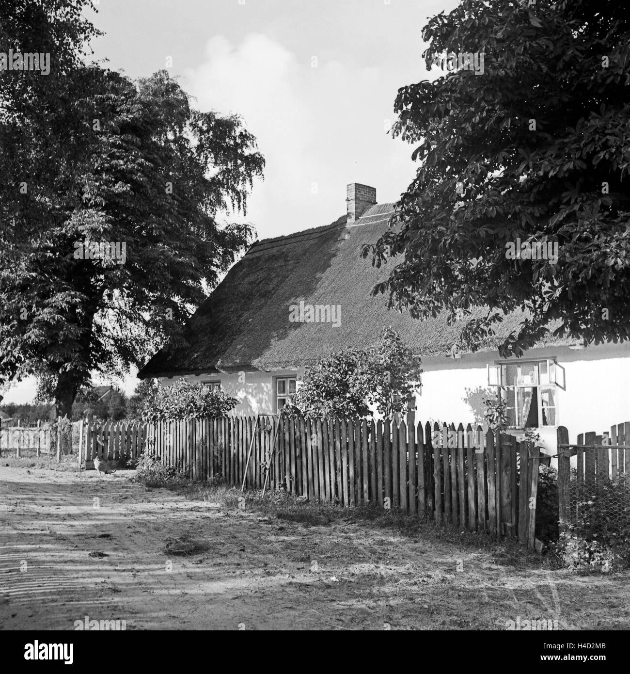 Bauerliche siedlung an der kurischen nehrung in ostpreussen hi-res ...