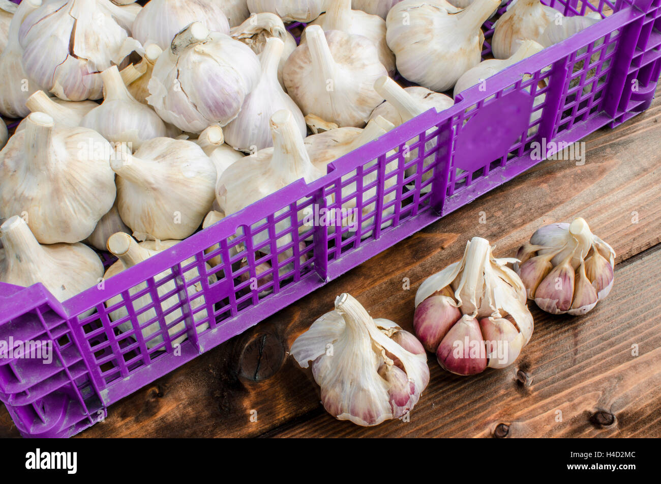 Bio garlic from bio herbs garden bio Stock Photo - Alamy