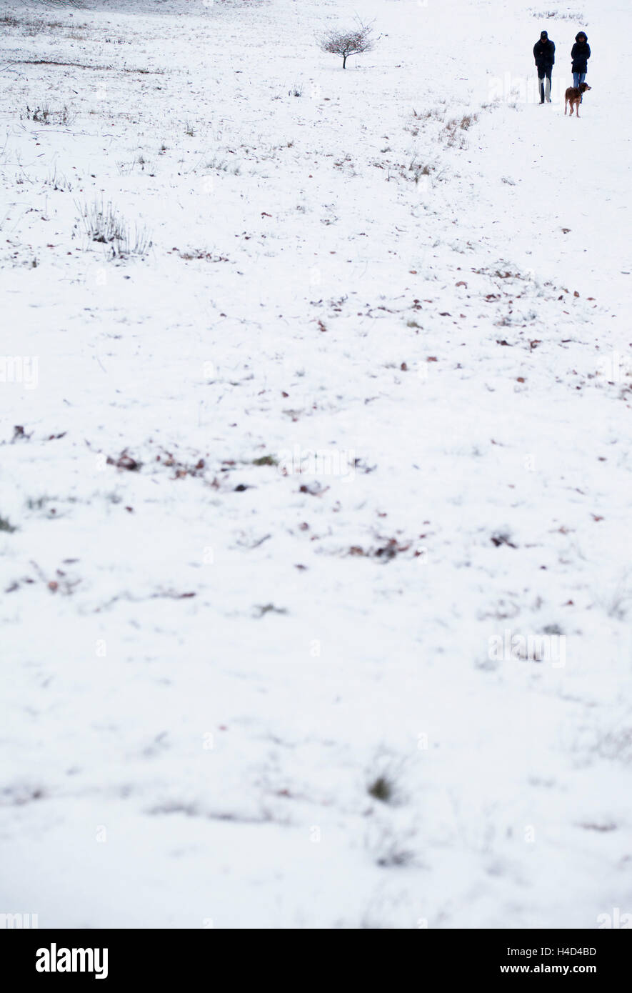 Walk, people, cold, snow, winter Stock Photo - Alamy