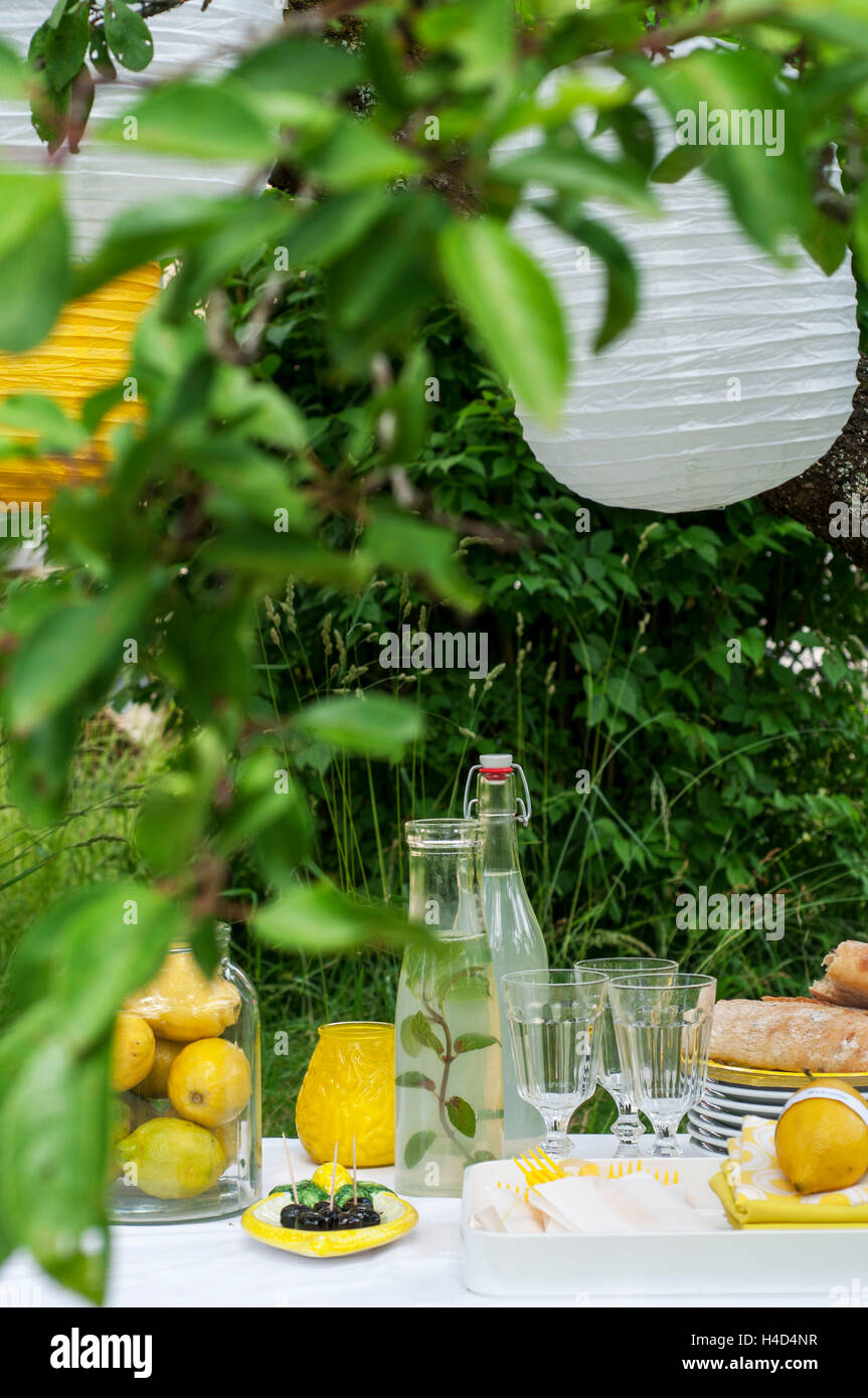 Lemon tree outside in garden hi-res stock photography and images - Alamy