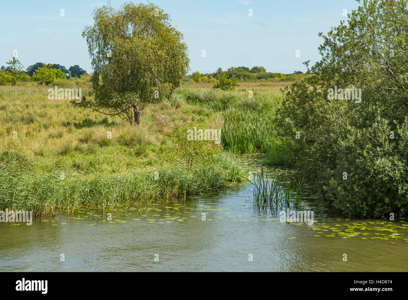 Bure River High Resolution Stock Photography and Images - Alamy