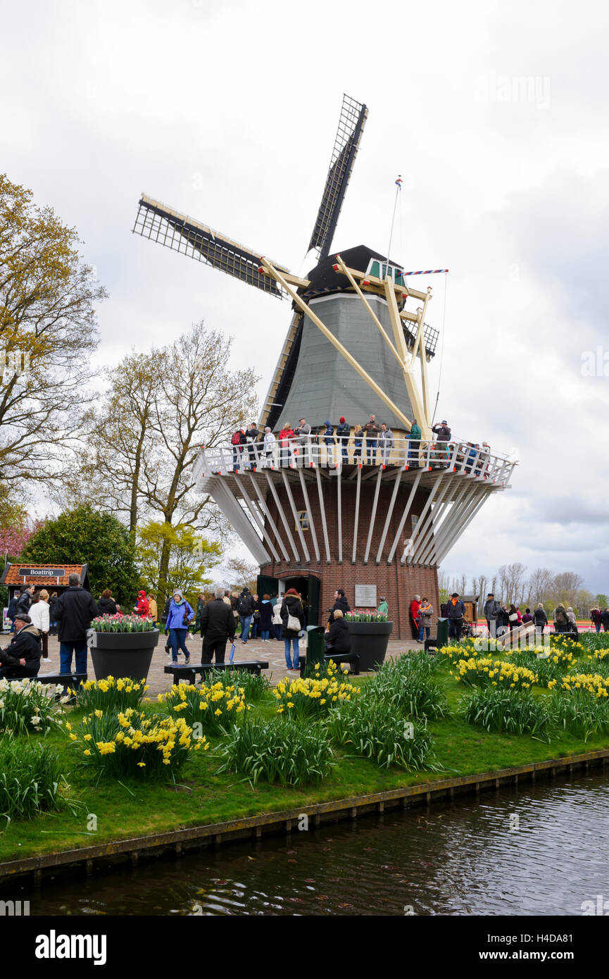 River of flowers keukenhof holland hi-res stock photography and images ...