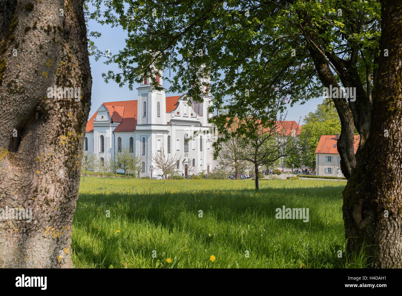 Cloister of Irsee at the spring, Germany, Bavarians, AllgÃ¤u Stock ...