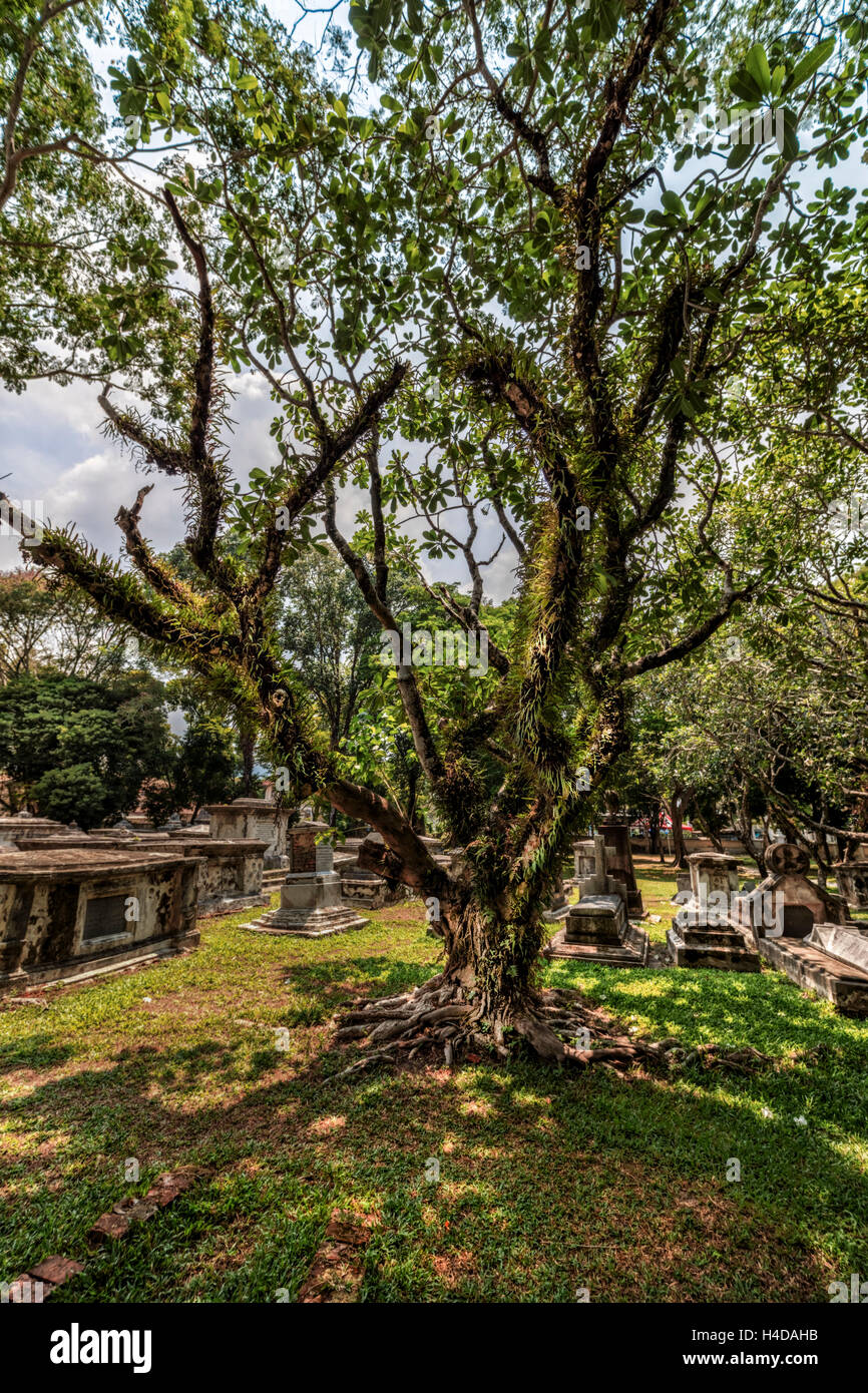 Protestant cemetery in Georgetown, Penang, Malaysia, british, english ...