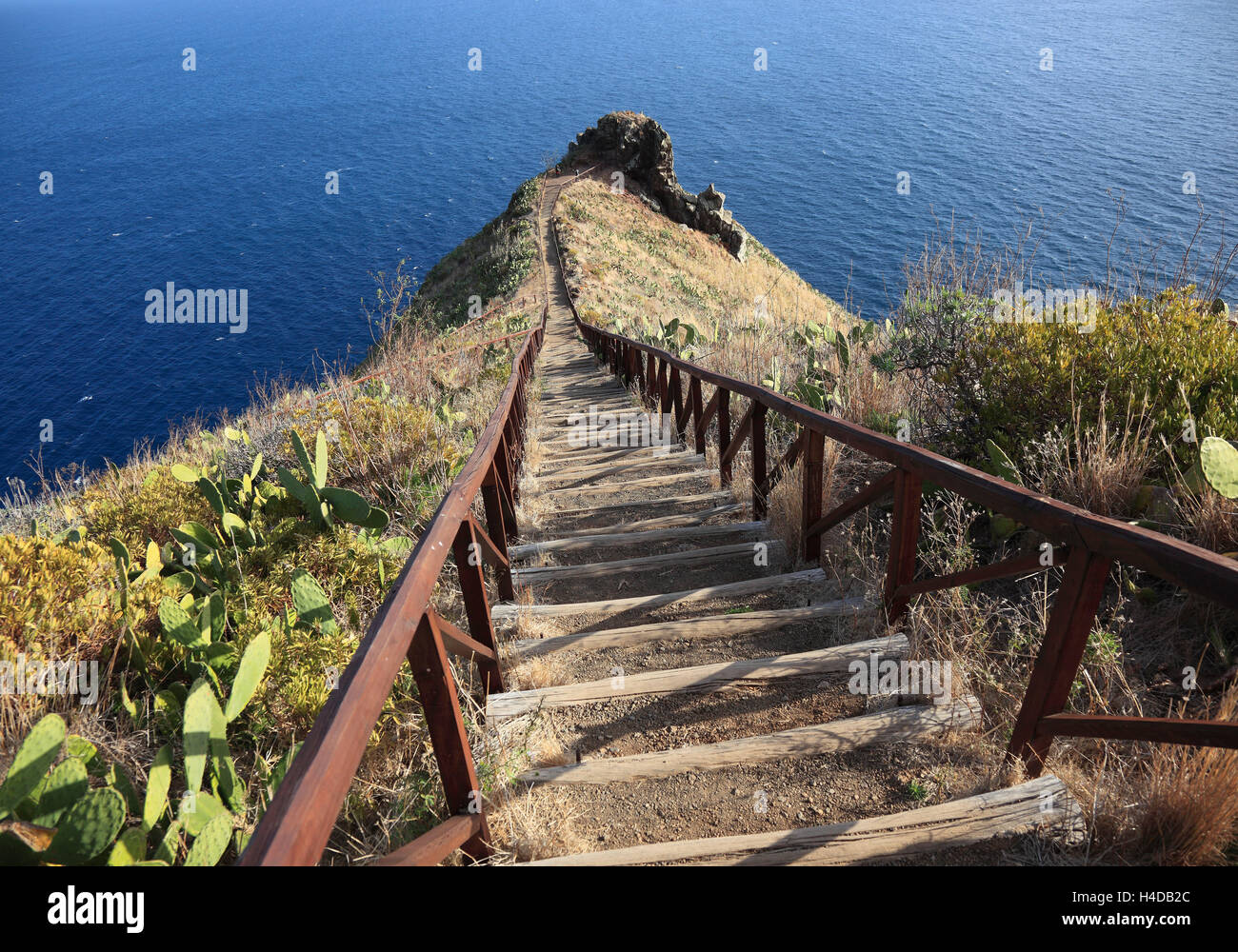 Portugal island madeira canico hi-res stock photography and images - Alamy