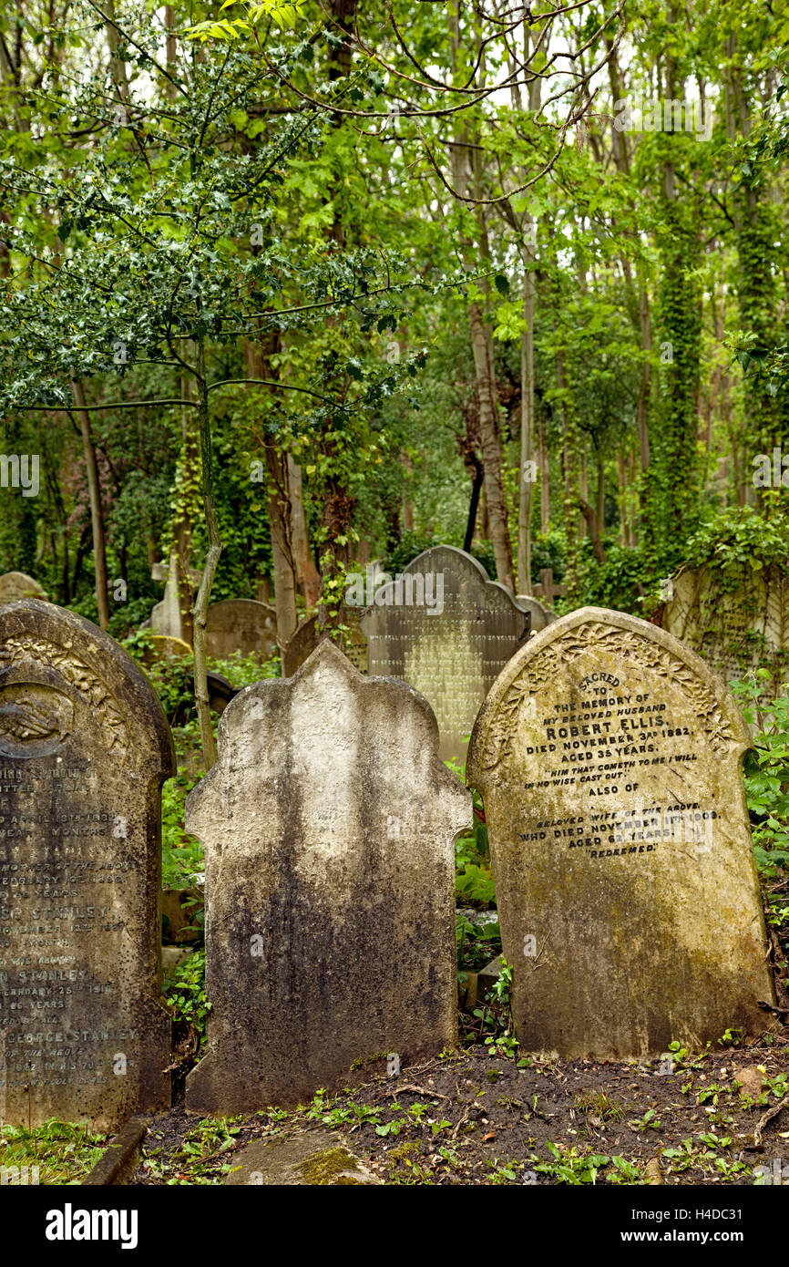 Cemetery, gravestone, memory, trees Stock Photo - Alamy