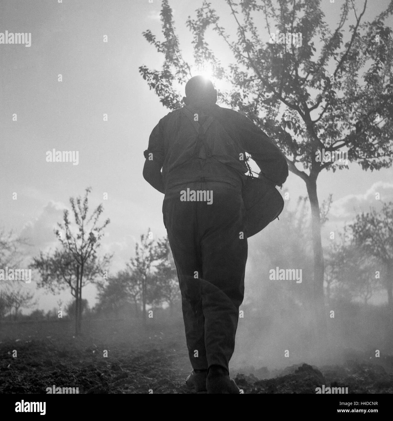 Ein Bauer bringt die Saat auf seinem Acker aus, Deutschland 1930er ...