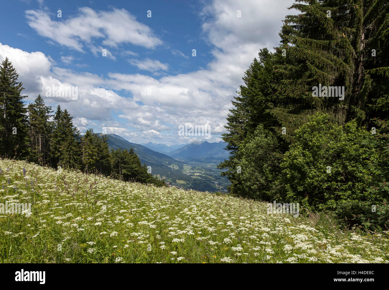 In the tri-border area Arnoldstein in Carinthia, Austria Stock Photo ...