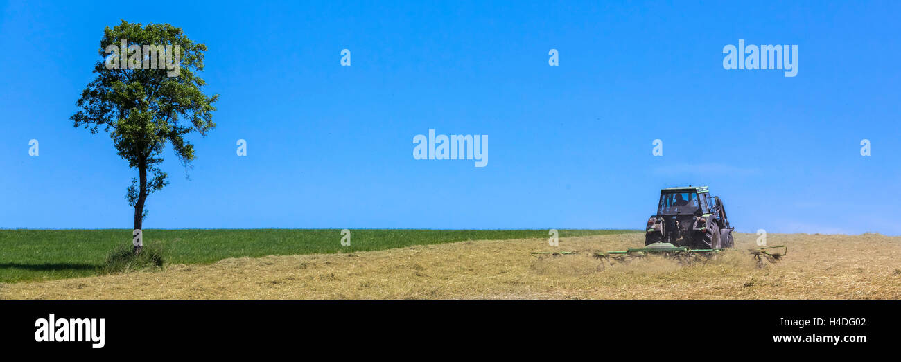 Tractor tree hi-res stock photography and images - Alamy