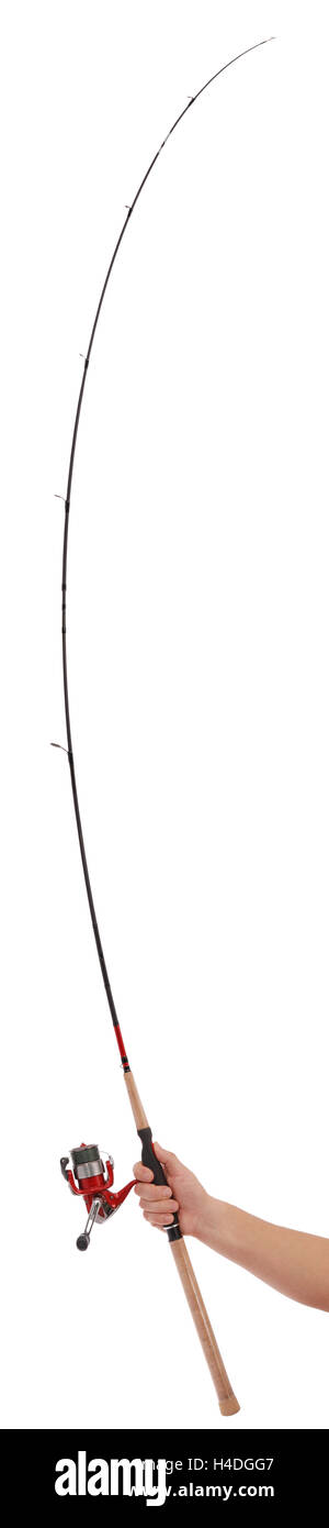 Tackle for summer fishing. Curved ultra light fishing rod for catching ...