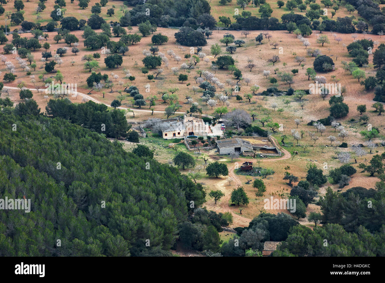 Finca felanitx hi-res stock photography and images - Alamy