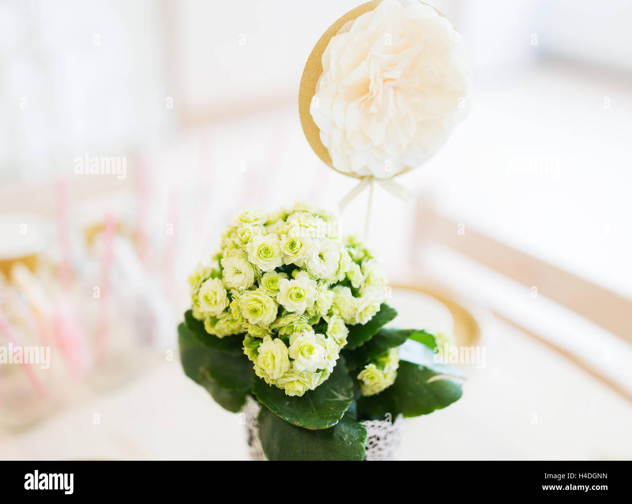 Festive still life flower hi-res stock photography and images - Alamy