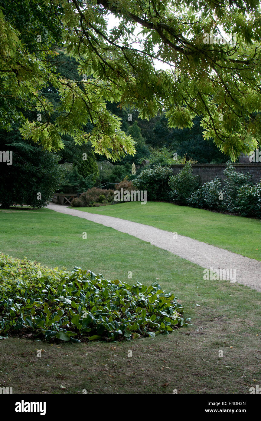 Grass and trees in park Stock Photo - Alamy