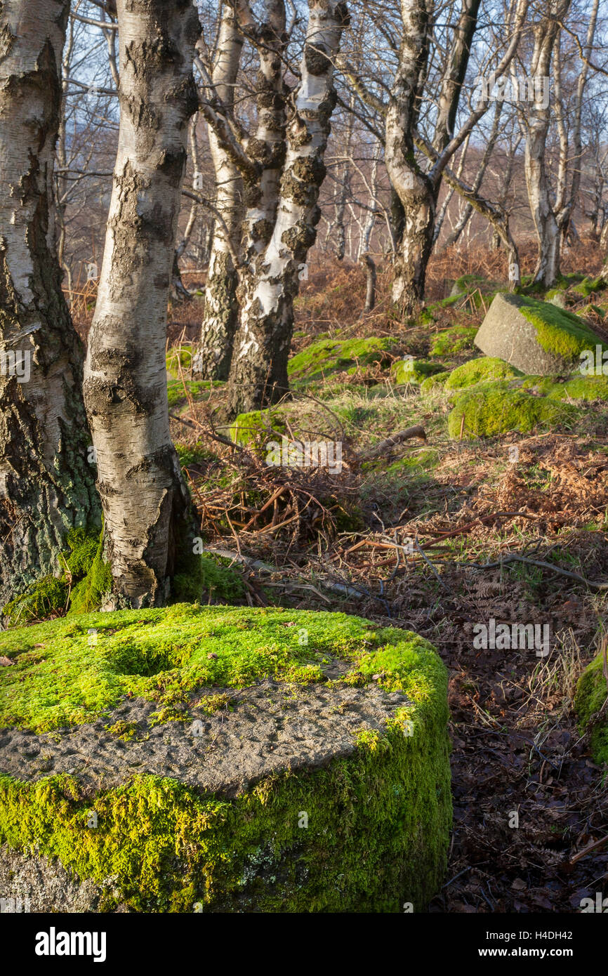 Ancient Uk Heritage Grain High Resolution Stock Photography and Images ...