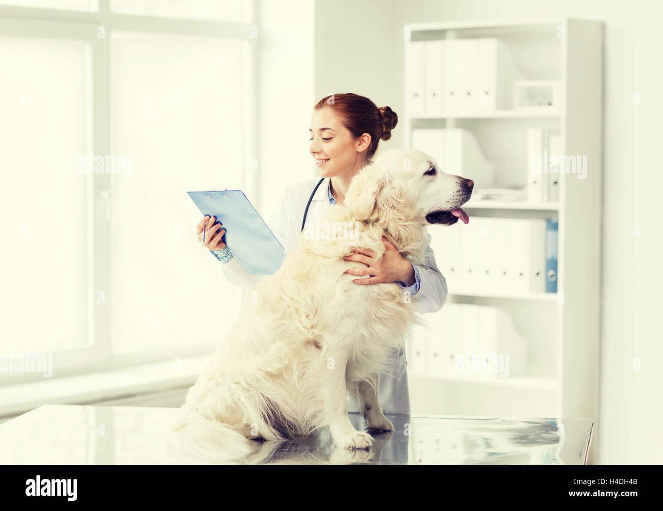 happy doctor with retriever dog at vet clinic Stock Photo - Alamy