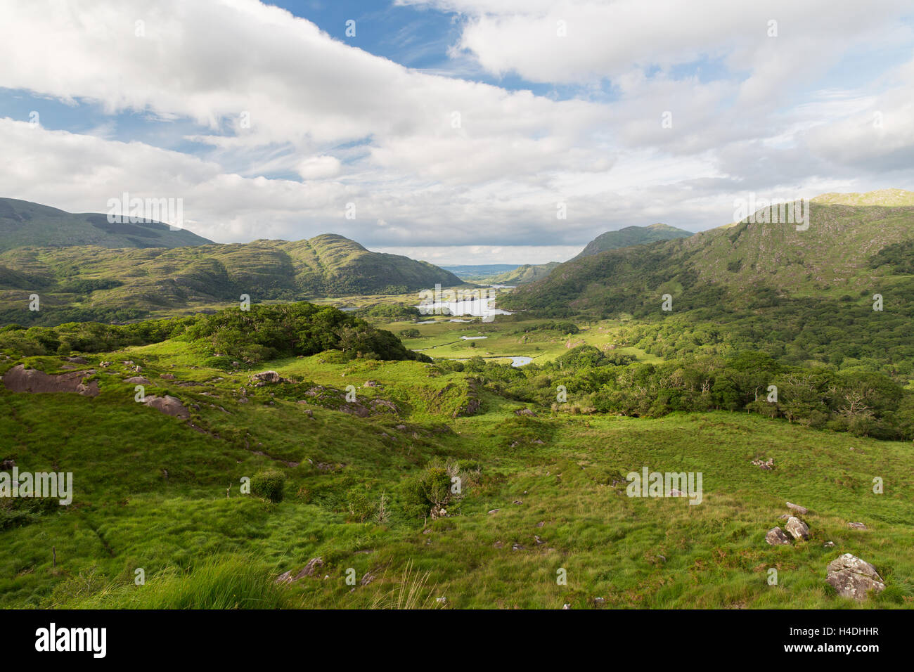 view to Killarney National Park valley in ireland Stock Photo - Alamy