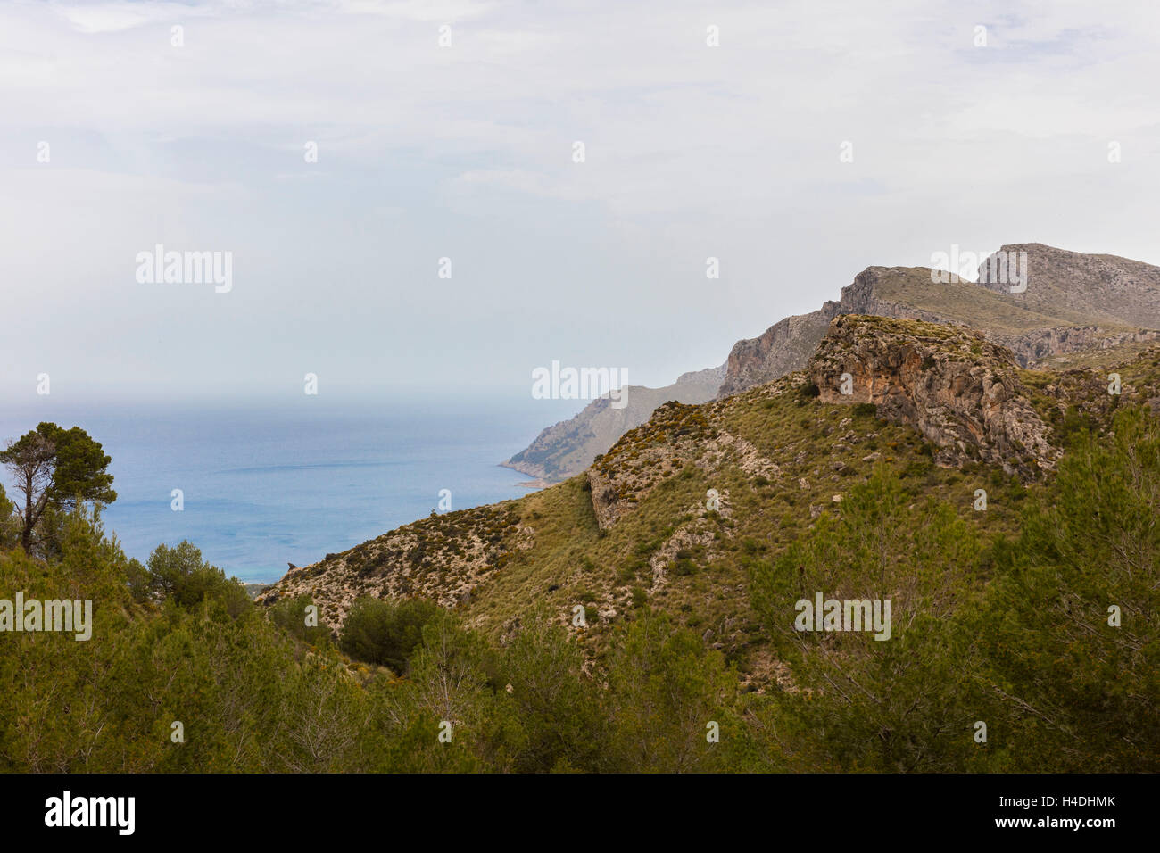 Mountain view at Majorca in the direction north, coast, Spain, Majorca ...