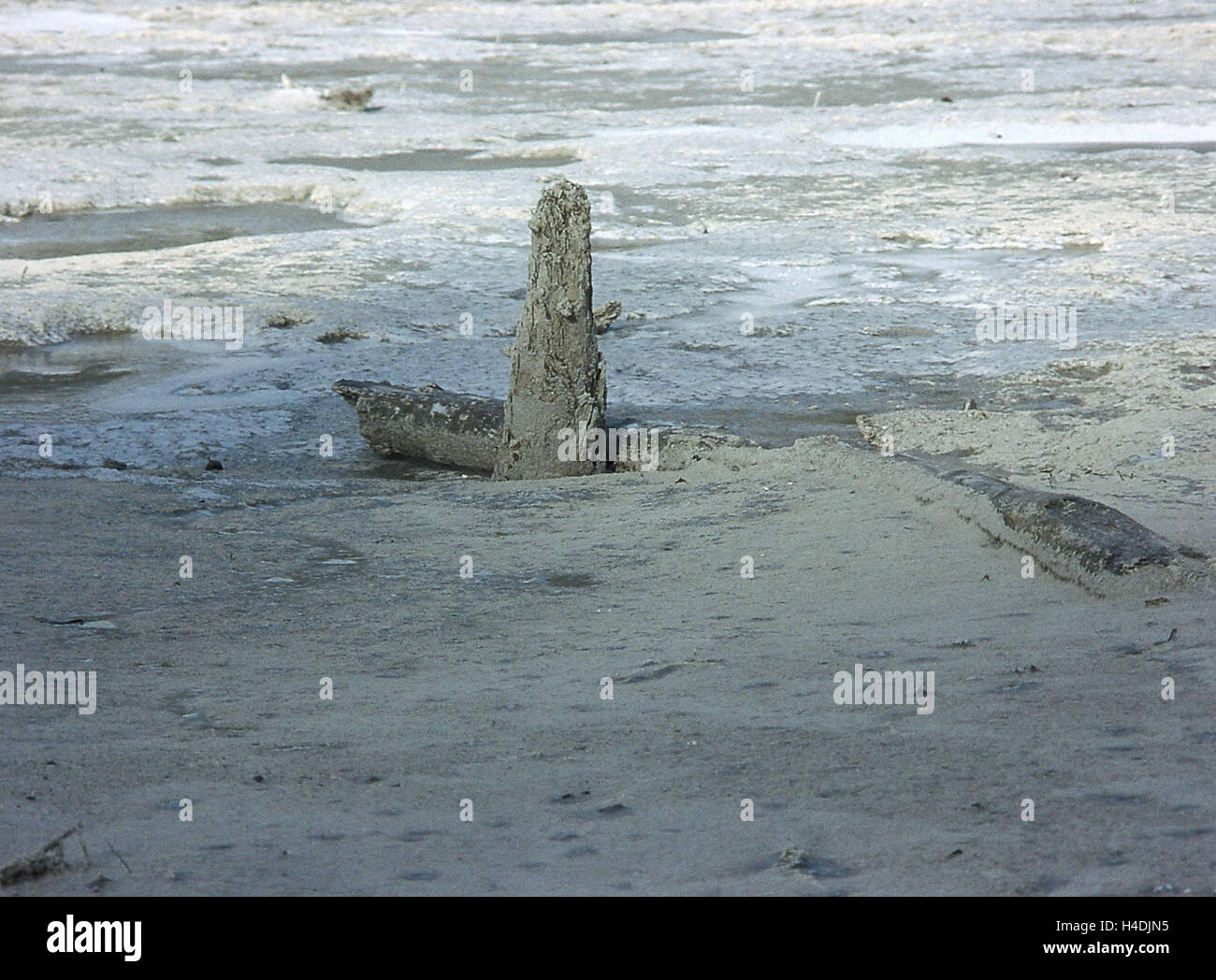 Mucky floor, wooden poles weather, beach, shore, Sand, ground, wet ...