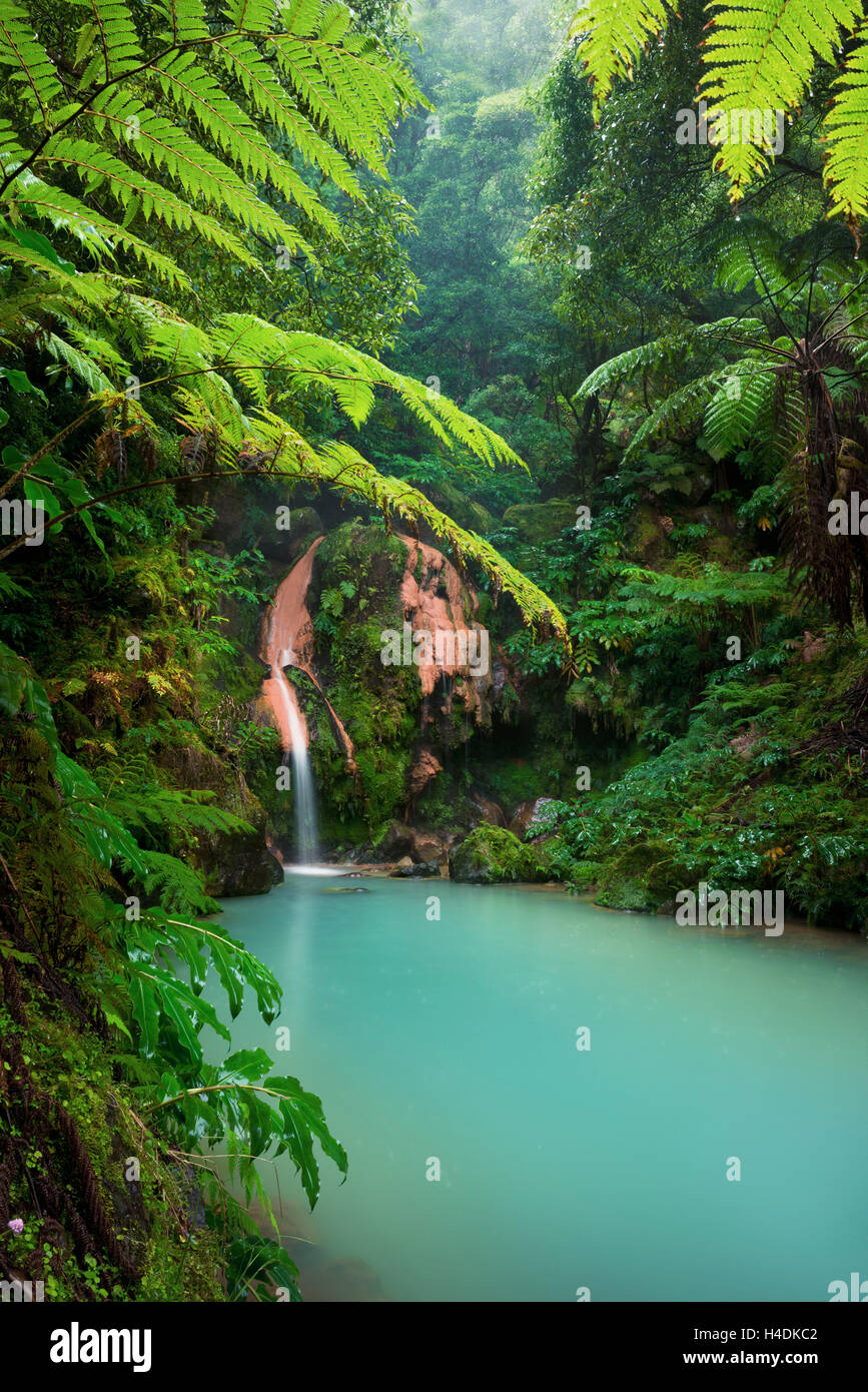 Waterfall, Caldeira Velha, the Azores, Portugal Stock Photo - Alamy