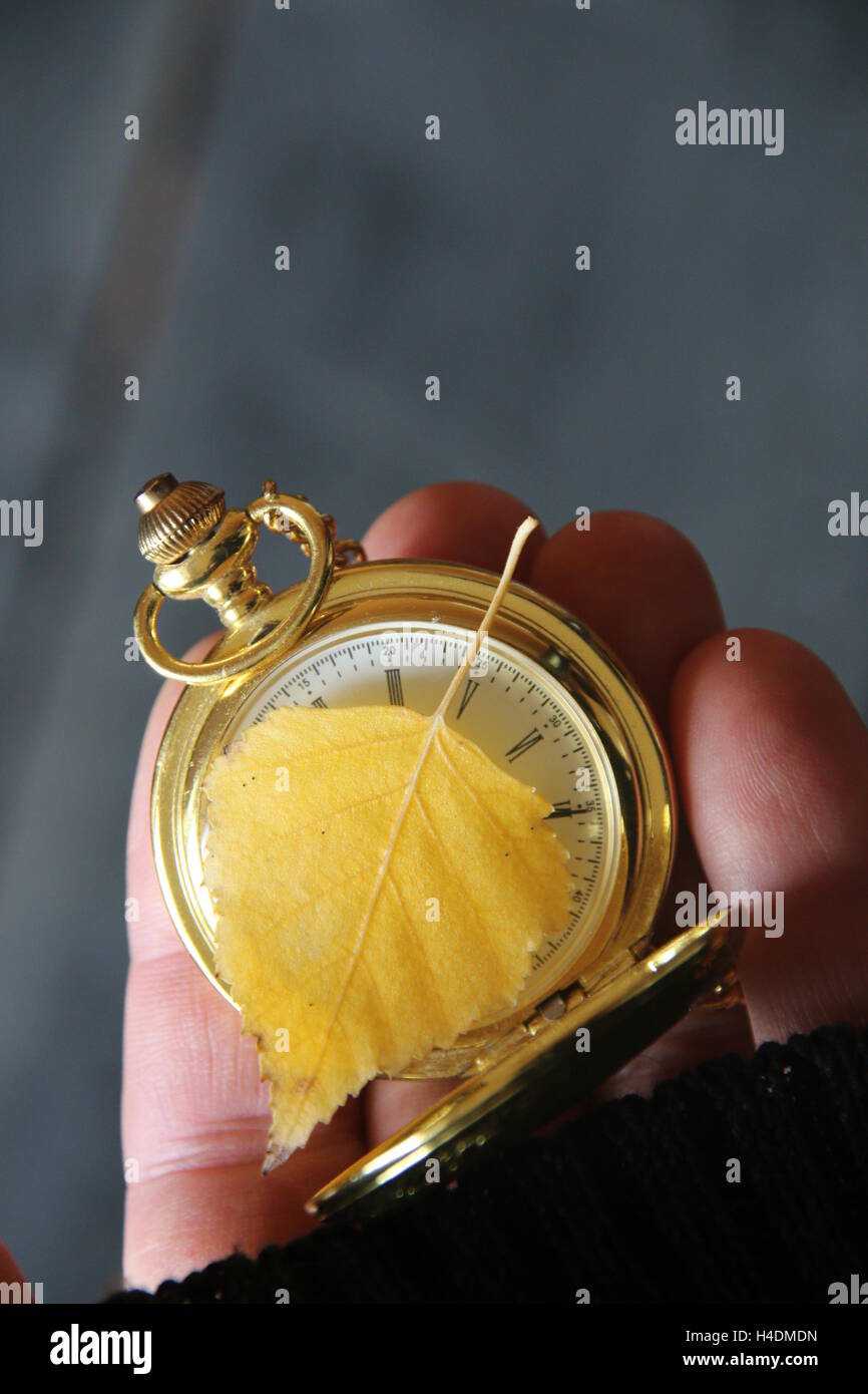 Hand holds a gold vintage pocket watch and autumn leaf Stock Photo - Alamy