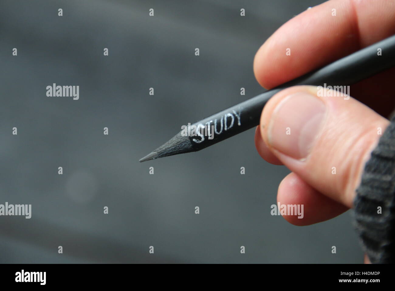 Study idea. Hand holding a pencil with an inscription Stock Photo - Alamy