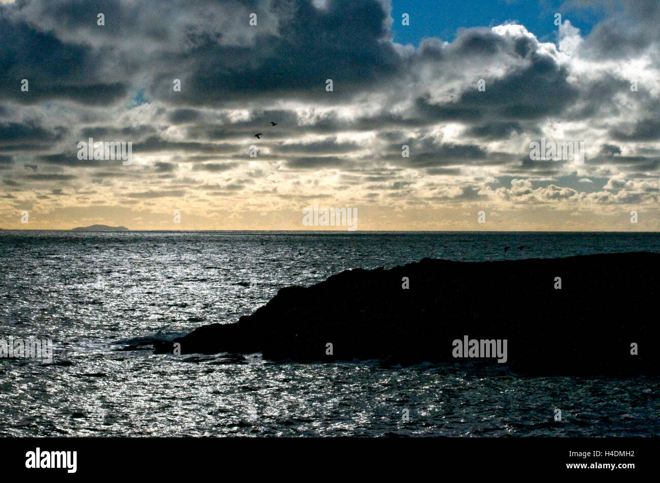 Ynys enlli hi-res stock photography and images - Alamy