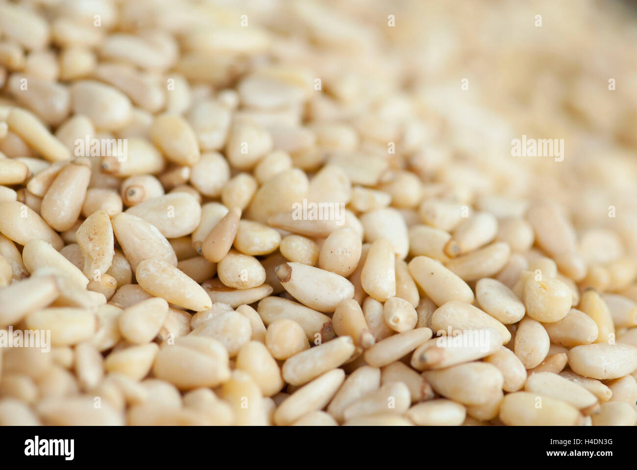 Pine cheek hi-res stock photography and images - Alamy