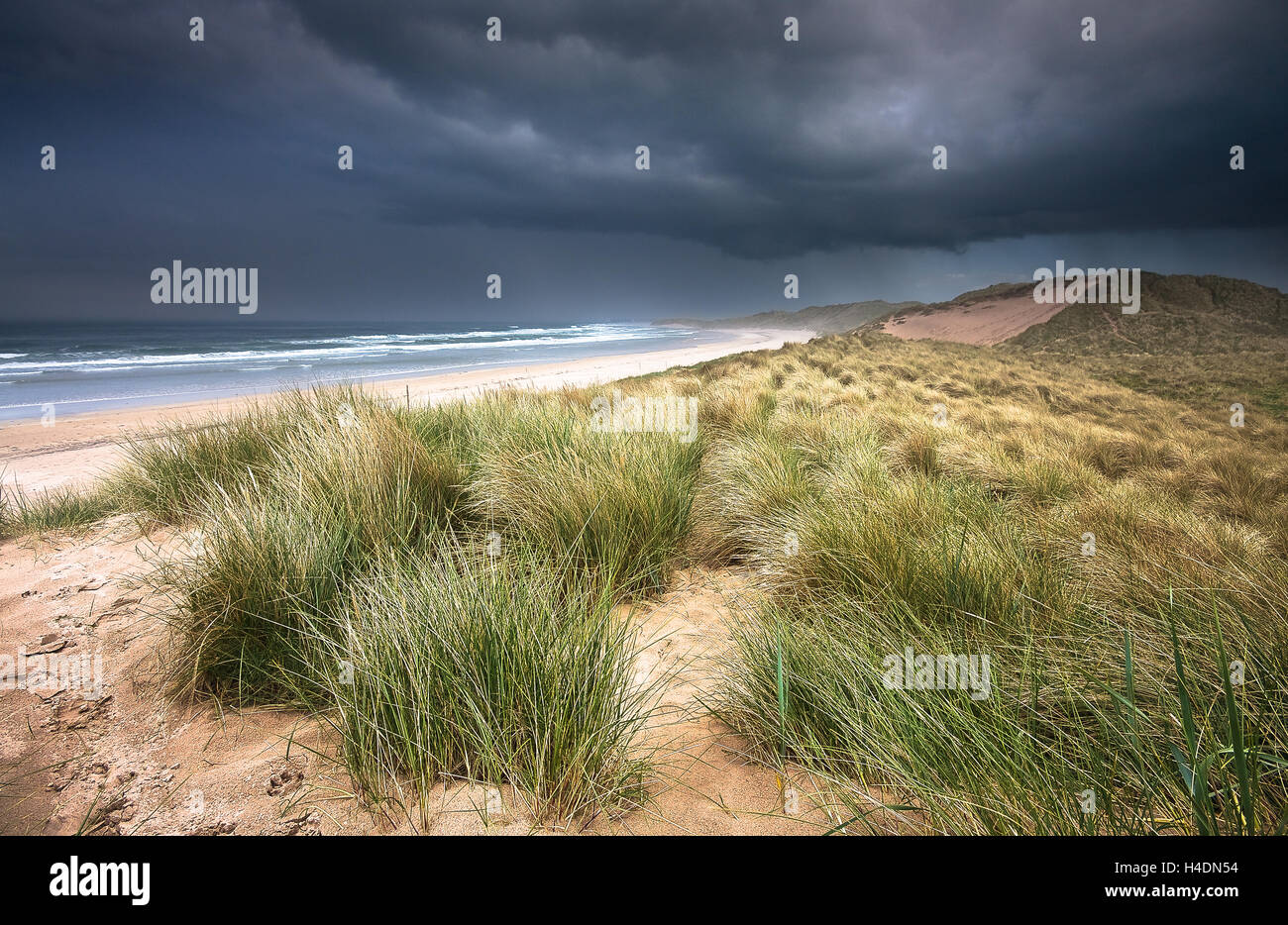 Bamburgh beach from the sand dunes with an incoming rain storm ...