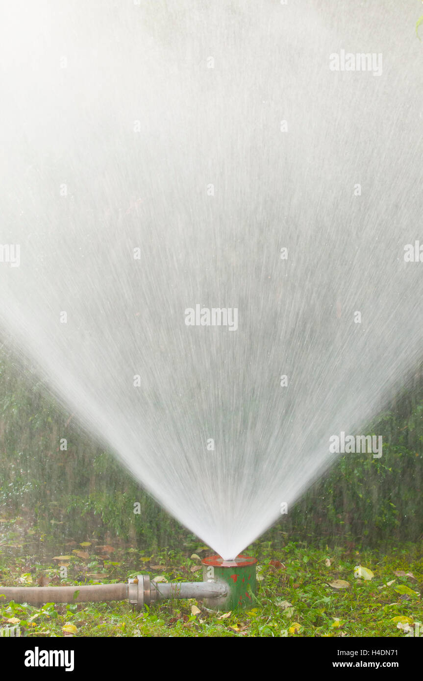 Garden hose - sprinkler system Stock Photo - Alamy