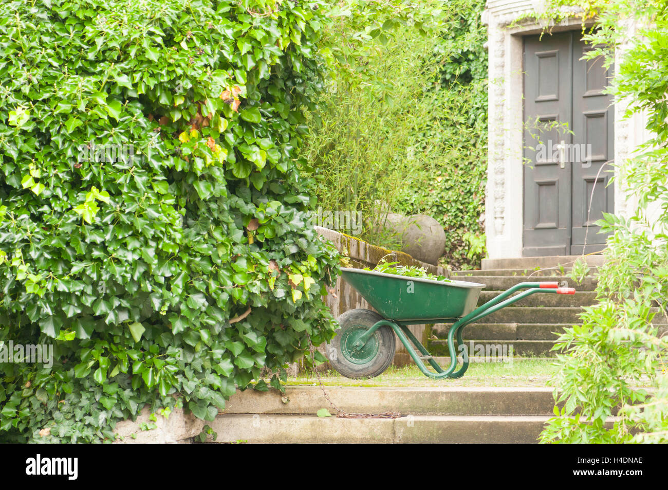 green barrow on stairs Stock Photo - Alamy