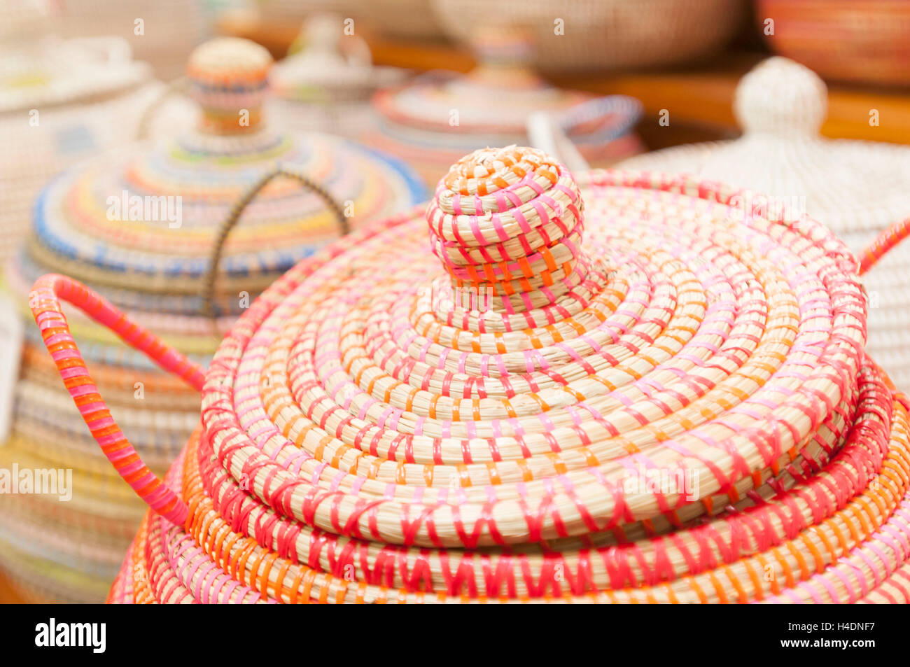 Classification systems hi-res stock photography and images - Alamy