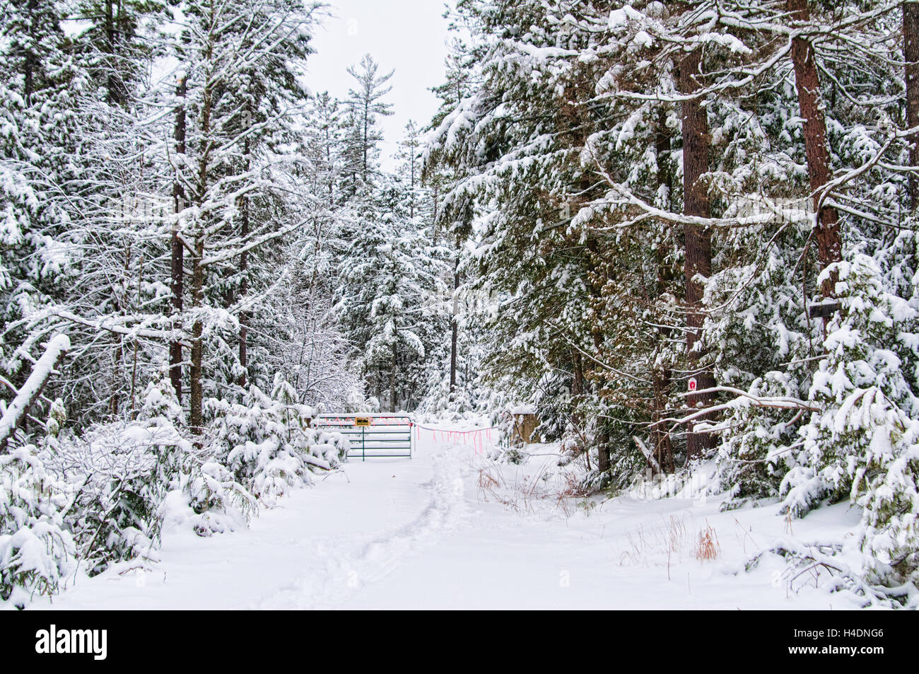 Snowshoe trail hi-res stock photography and images - Alamy
