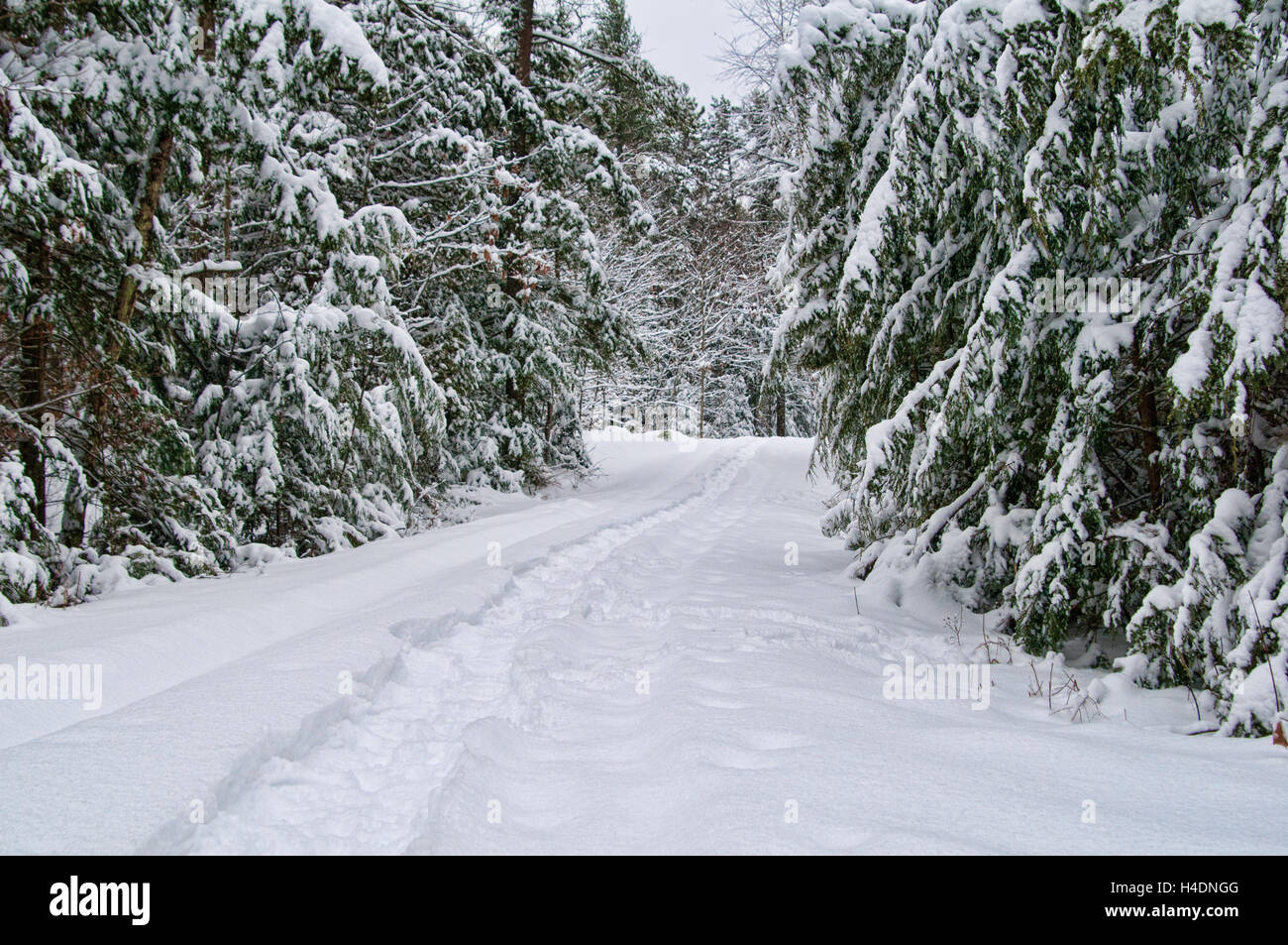 Snowshoe trail hi-res stock photography and images - Alamy