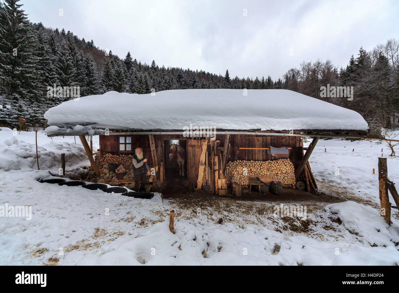 Alpine hut in the alps, lonely, winter, snow Stock Photo - Alamy