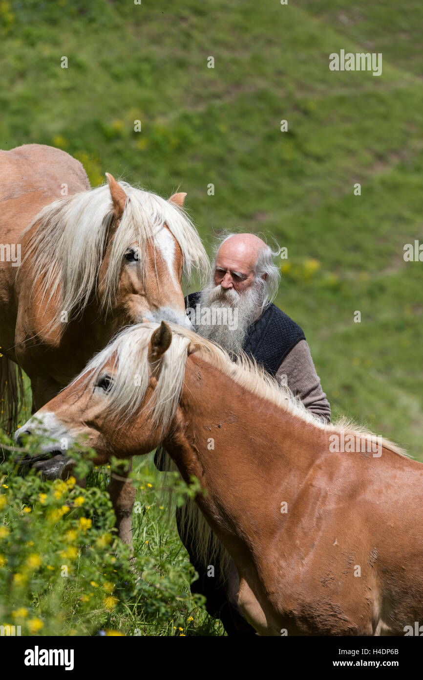 Man on horses hi-res stock photography and images - Alamy