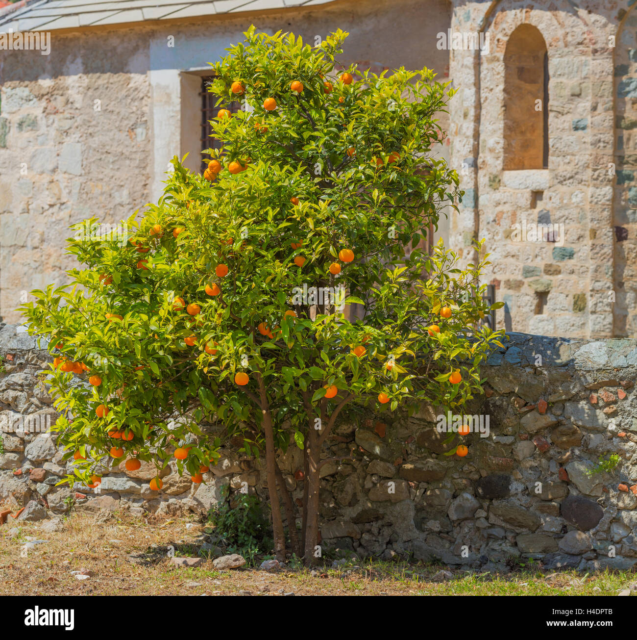 Noli san paragorio church hi-res stock photography and images - Alamy