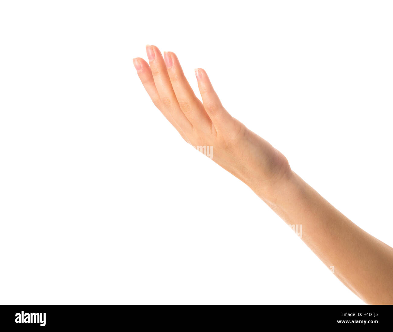 Woman's hand with palm up Stock Photo - Alamy