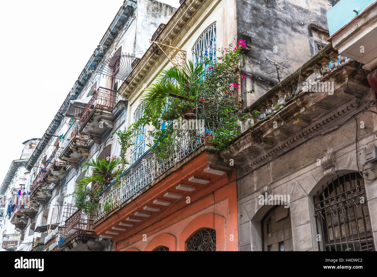 Typical balconies in the Old Town Havana, centre, La Habana, Cuba, the ...
