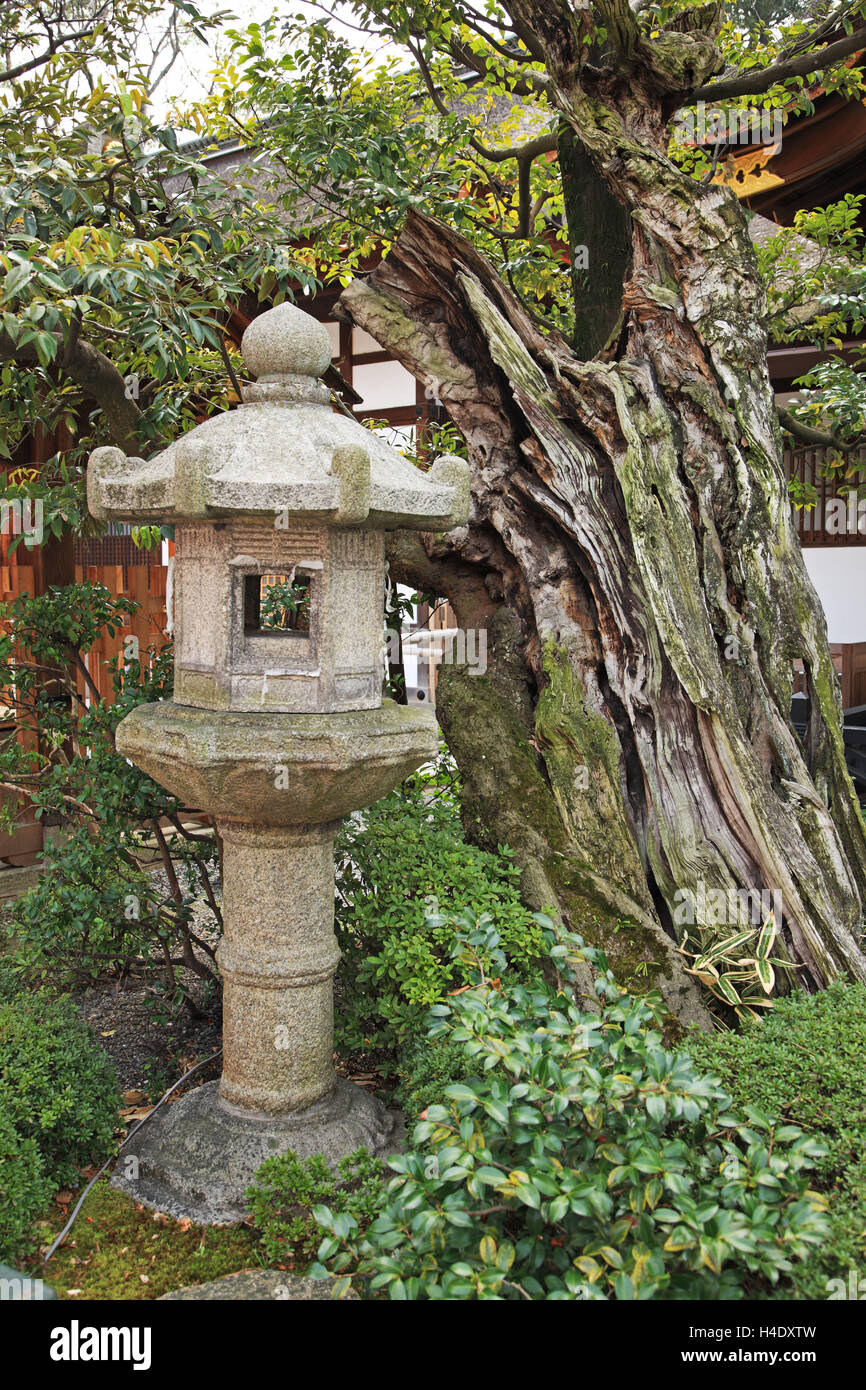 Japan, Kyoto, Fushimi Inari-Taisha Shrine, stone lantern in japanese ...