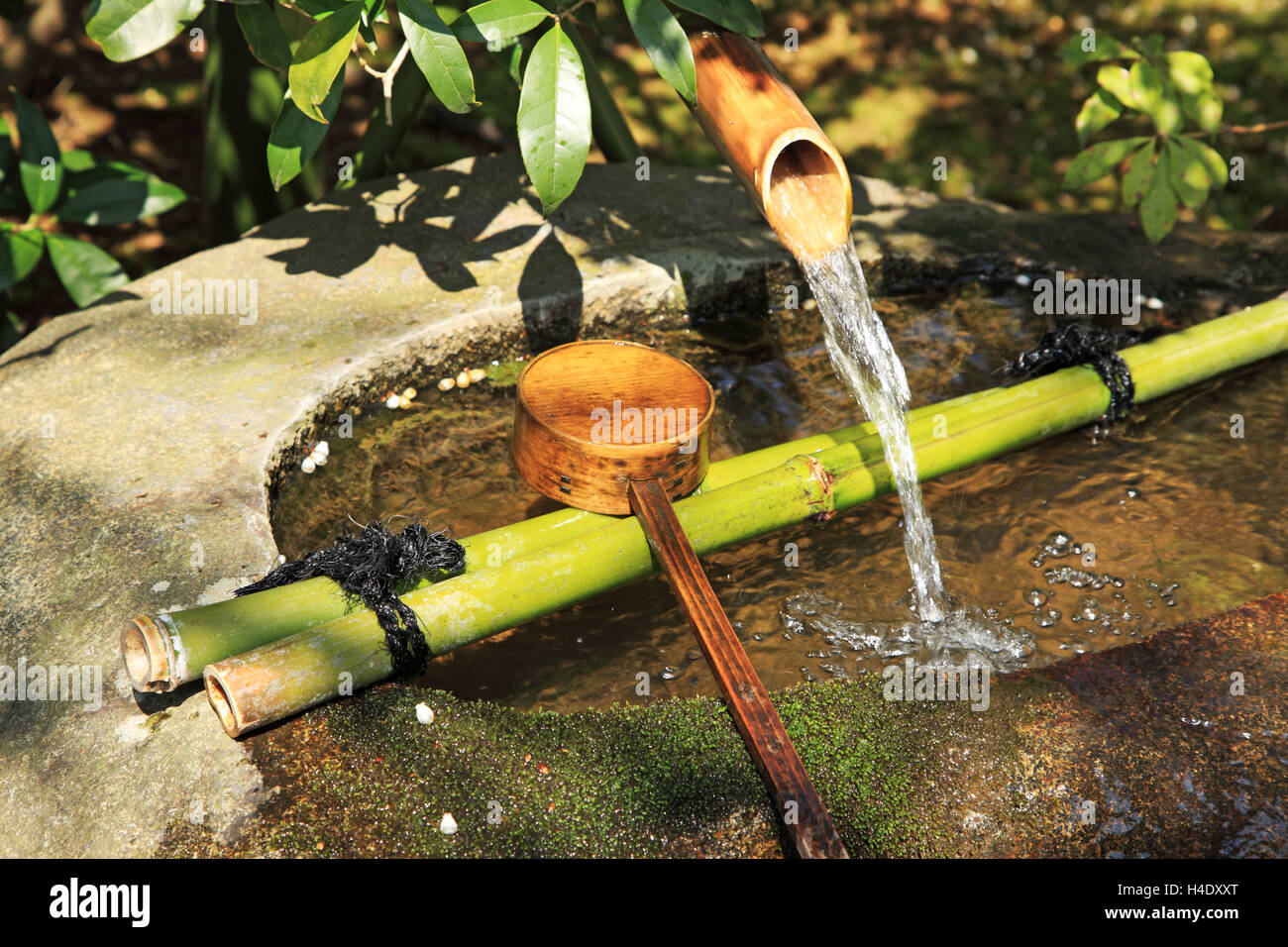 Japan, Kyoto, Ryoanji Temple, UNESCO World Heritage site, wash basin ...