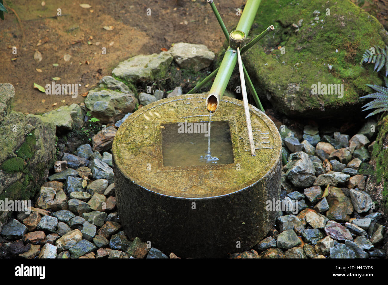 Japan, Kyoto, Ryoanji Temple, wash basin, UNESCO World Heritage site ...