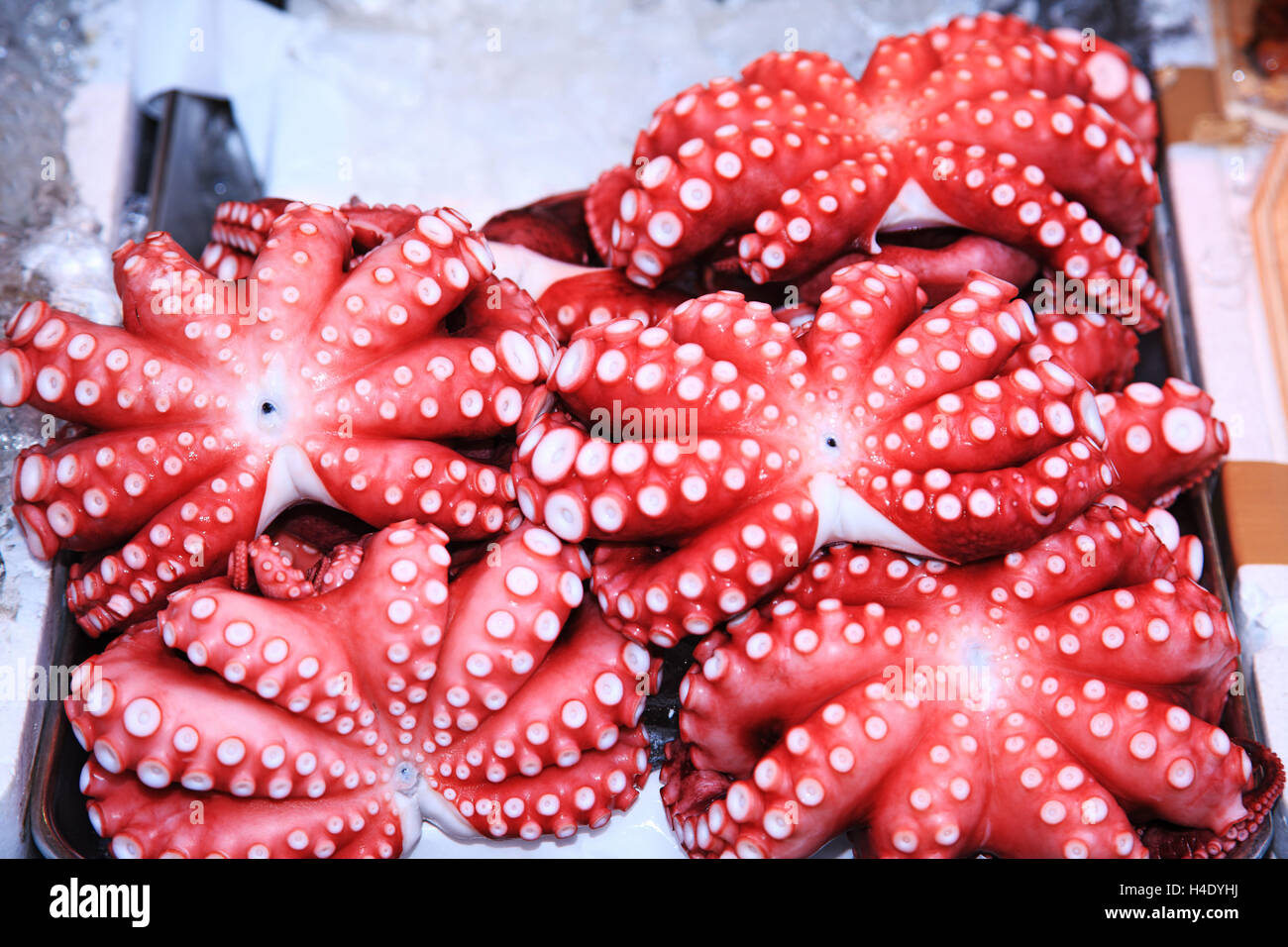 Octopus At Ameyoko Market, Japan, Tokyo, Ueno Stock Photo - Alamy