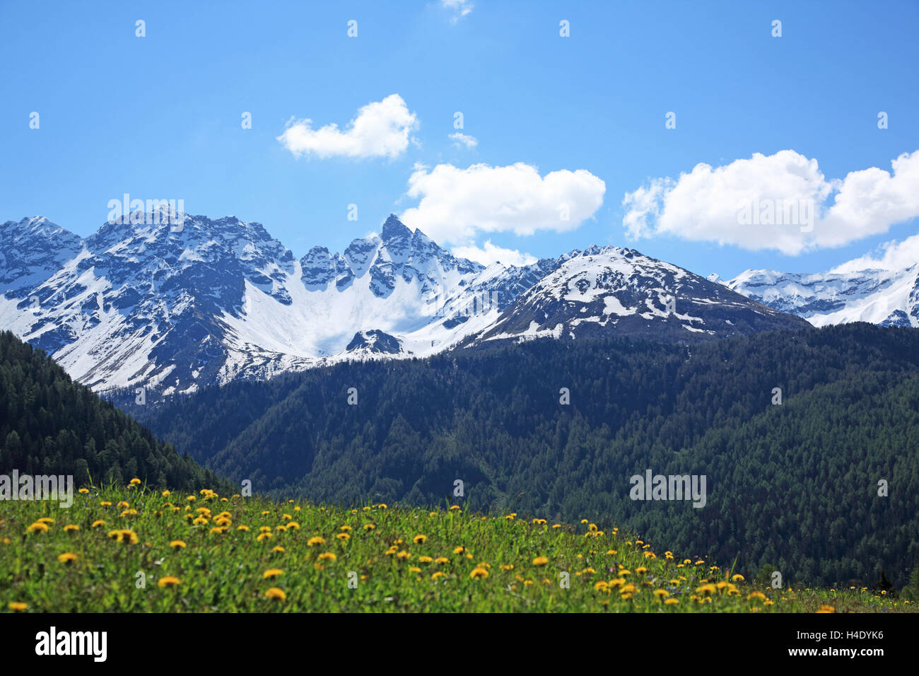 Switzerland, Canton to grey bundles, Poschiavo Valley Stock Photo - Alamy