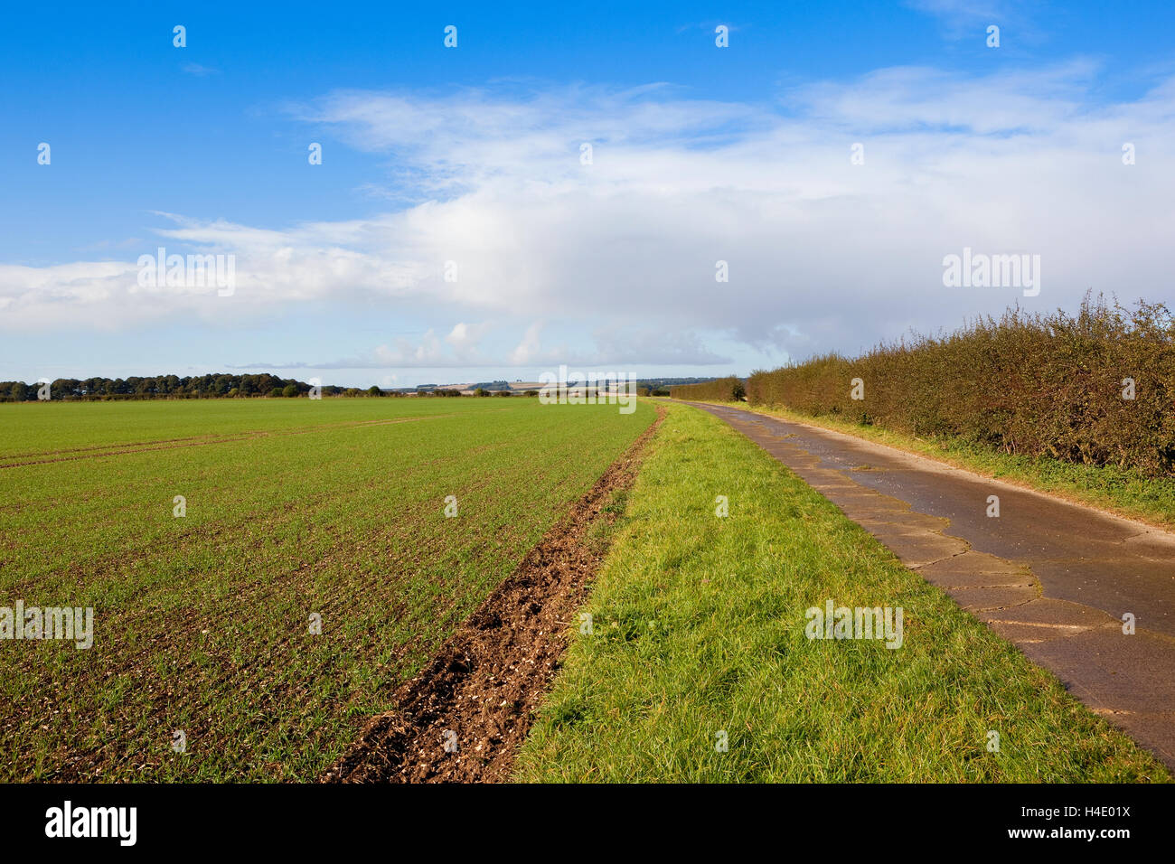 A concrete farm track in agricultural farmland in autumn under a blue ...