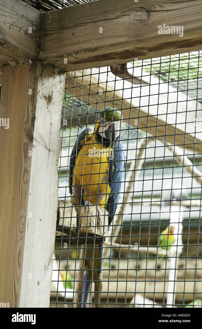 Exotic parrot cage in natural park, animals Stock Photo - Alamy