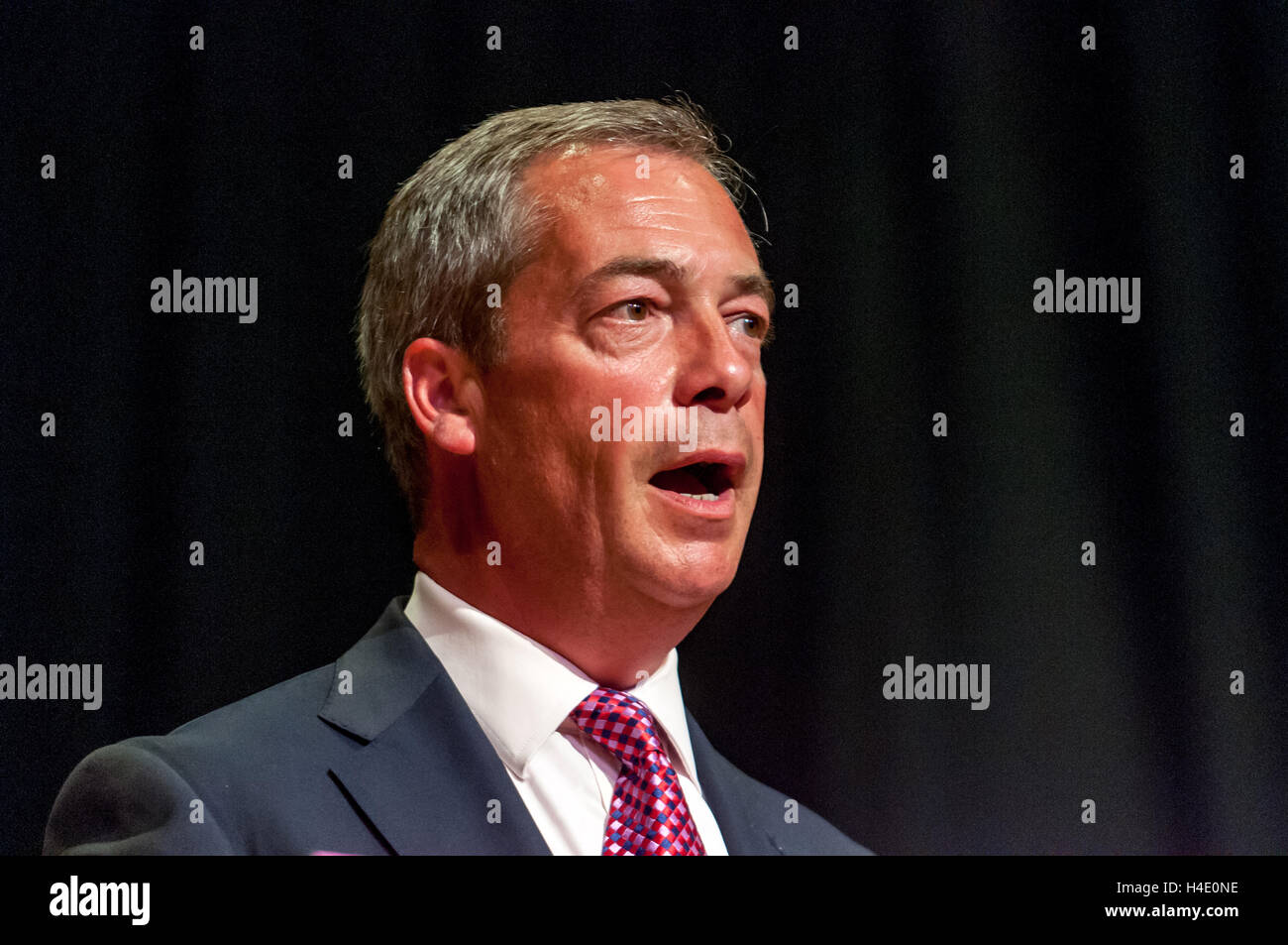 UKIP leader Nigel Farage onstage at Hove Town Hall Stock Photo - Alamy