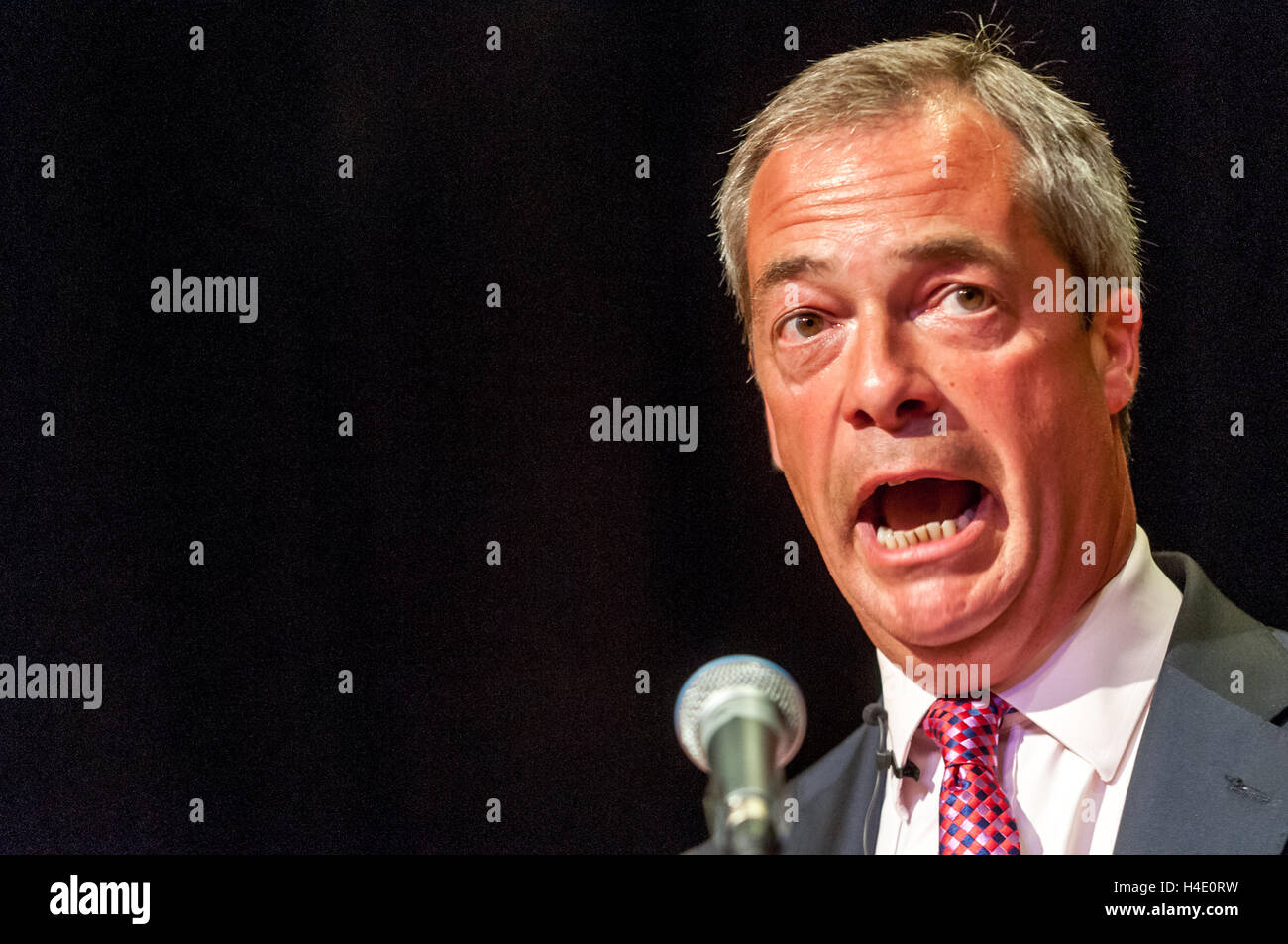 UKIP leader Nigel Farage onstage at Hove Town Hall Stock Photo - Alamy