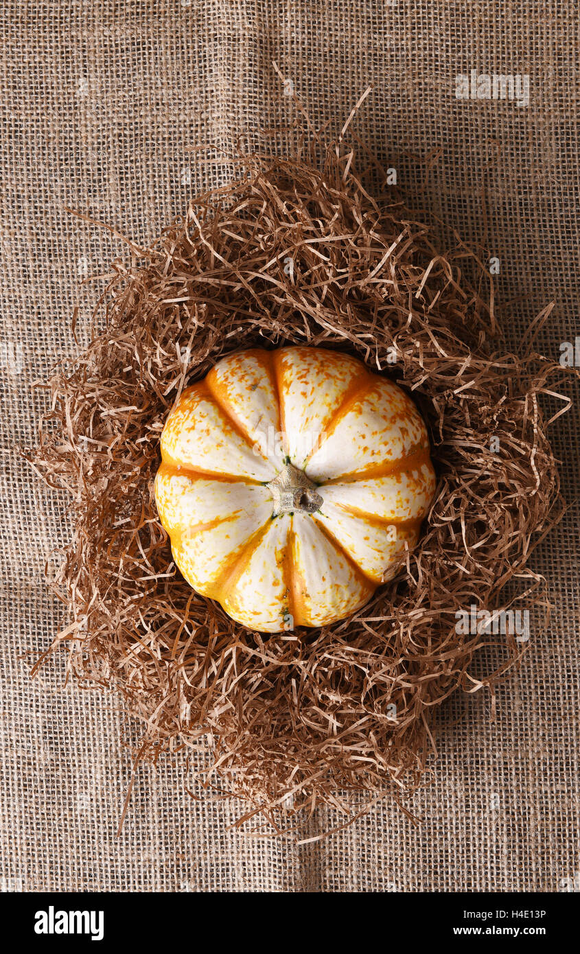 High angle of pumpkin hi-res stock photography and images - Alamy